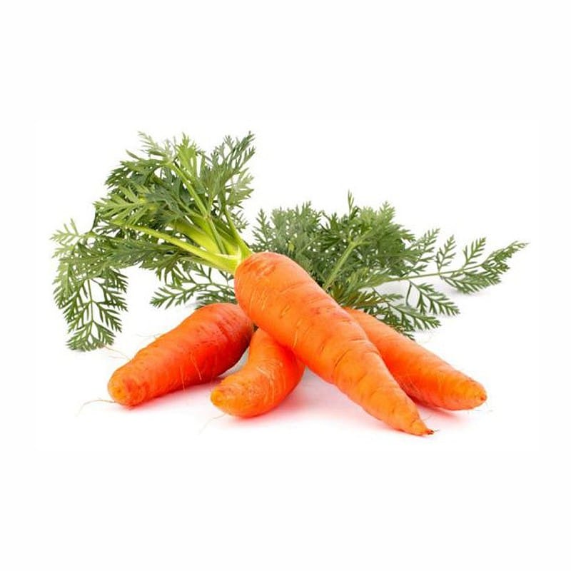 Native Organic Carrot – Messis productos y servicios agrícolas